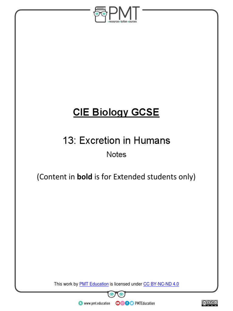 Summary Notes - Topic 13 Excretion in Humans - CIE Biology IGCSE | PDF ...