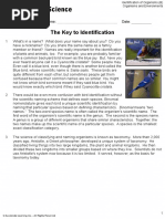 Dichotomous Key Lizard | PDF | Taxonomy (Biology) | Species