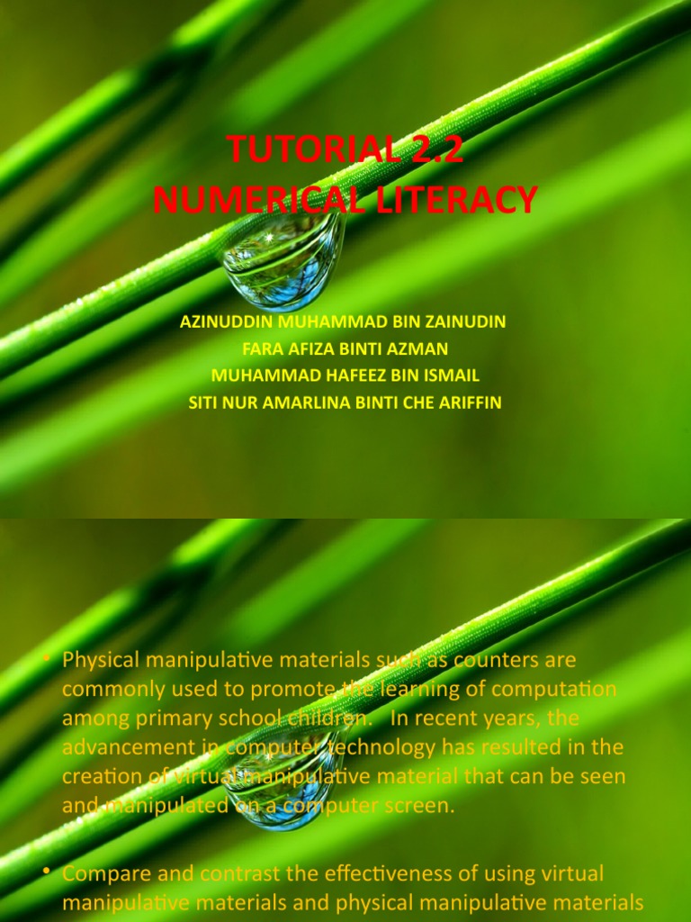 Tutorial 2.2 Numerical Literacy | PDF