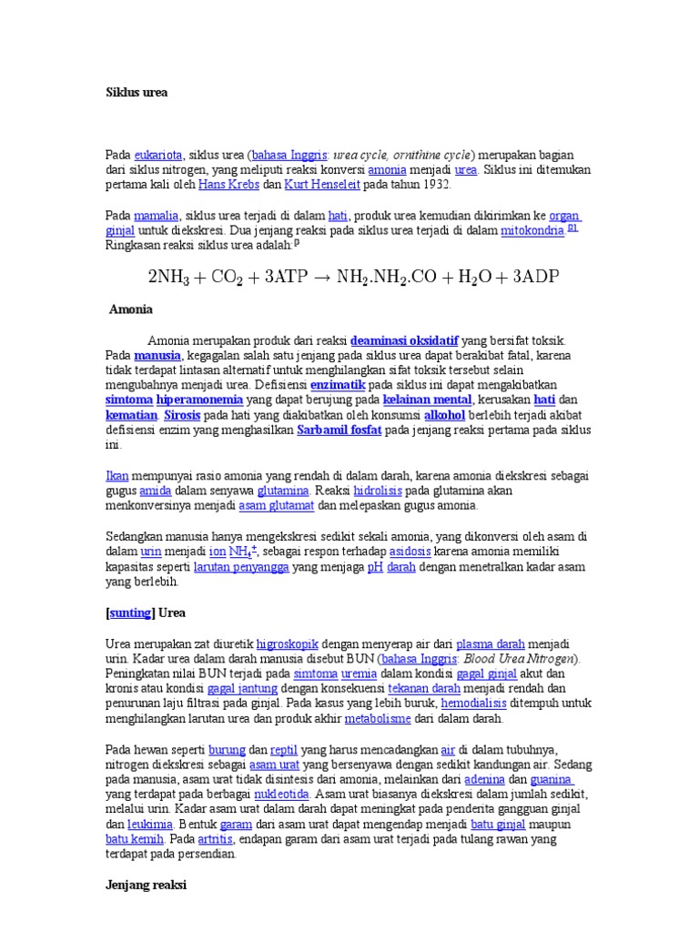 Siklus Urea | PDF