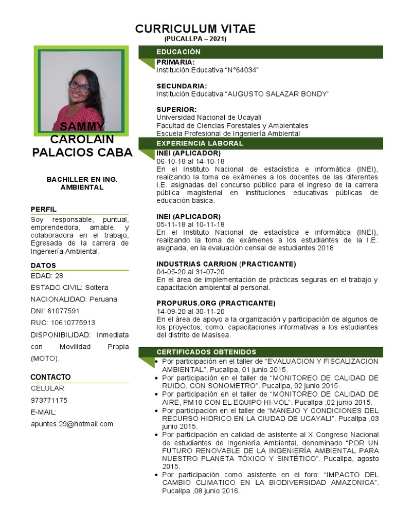 Curriculum Sammy | PDF | Ingeniería | Science