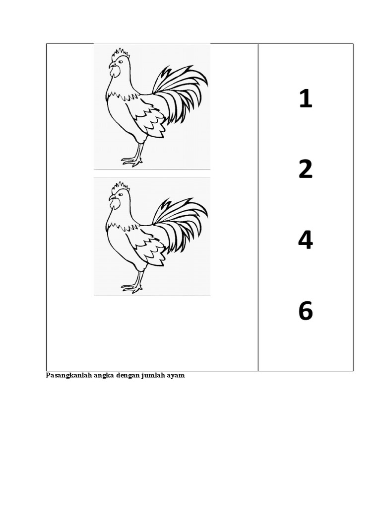 Pasangkan Ayam DGN Angka | PDF
