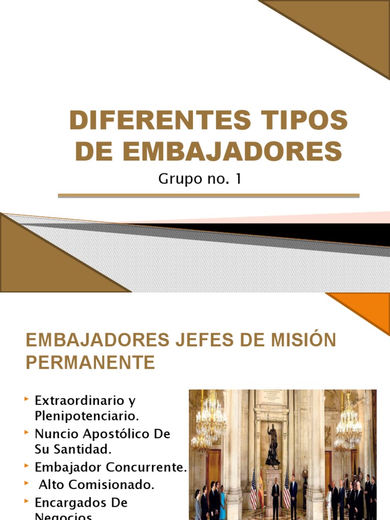 Diferentes Tipos de Embajadores | PDF