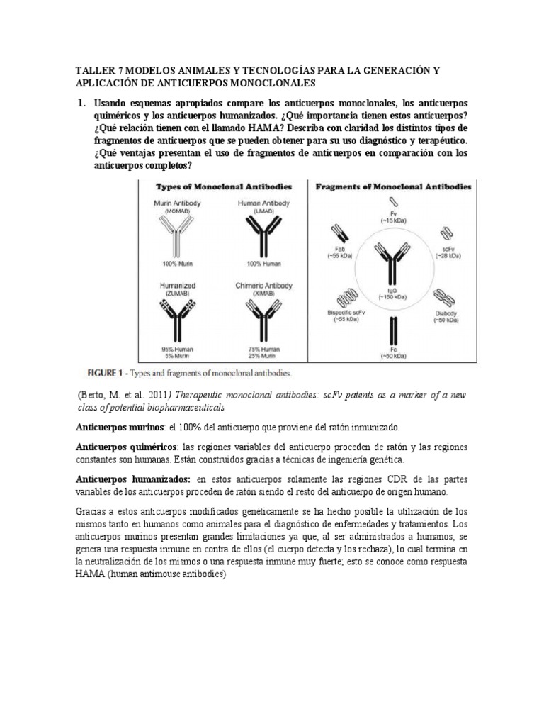 Anticuerpos Monoclonales | PDF | Anticuerpo | Bacteriófago