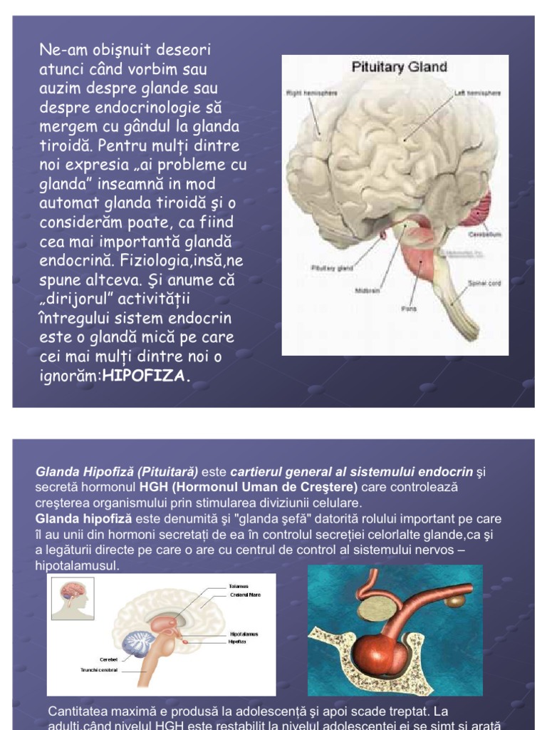 glanda hipofiza