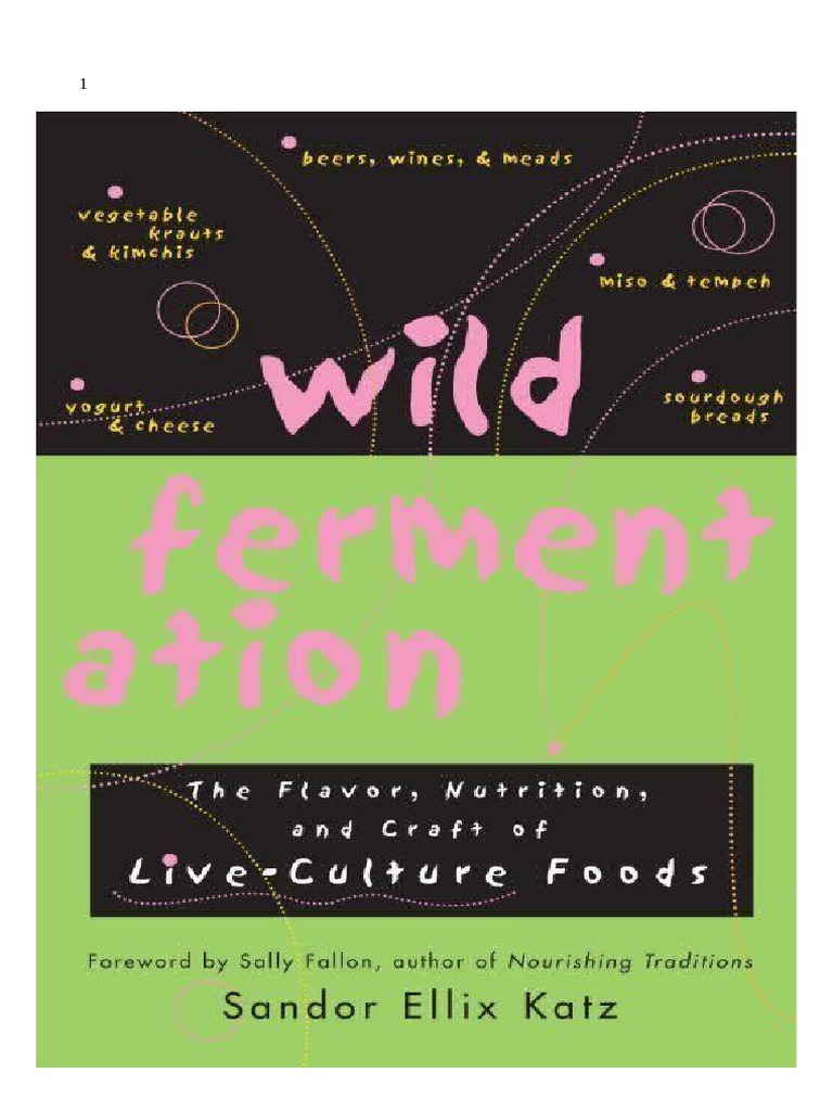 Wild Fermentation | PDF | Yogur | Leche