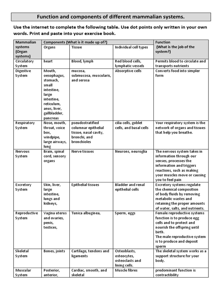 Function and Components of Different Mammalian Systems | PDF | Human ...