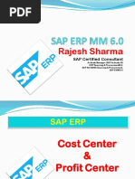 SAP FI Cheat Sheet | PDF