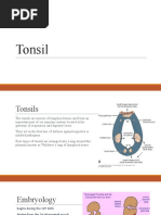 Grading of Tonsil | PDF