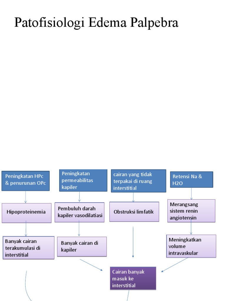 Li 5 Patofisiologi Edema Palpebra | PDF