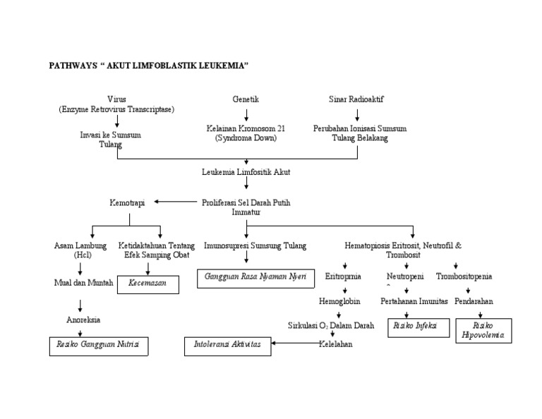 Pathway Acute Limfoblastik Leukemia | PDF