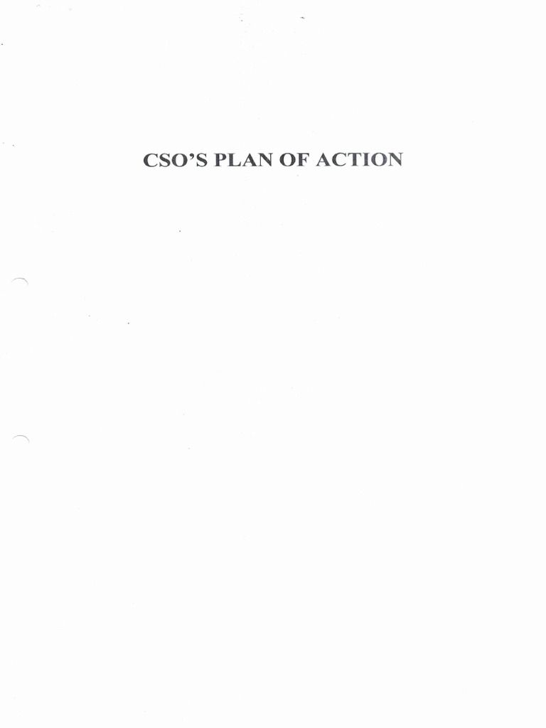 4 - Cso Plan of Action | PDF