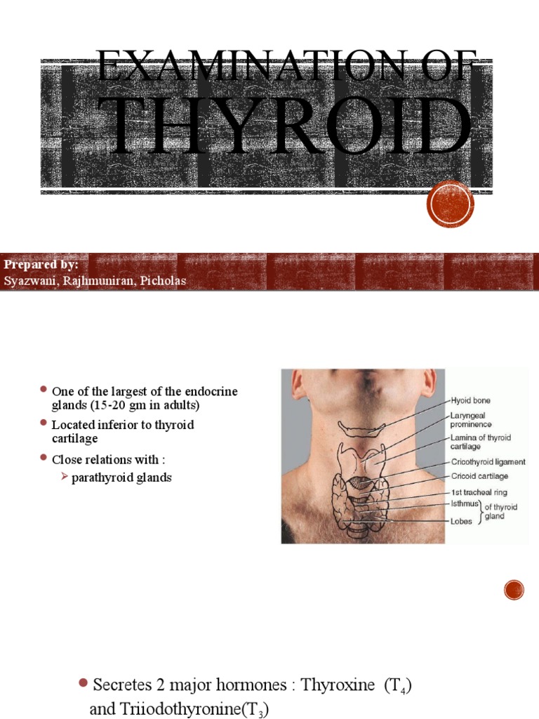 Anatomy, Physiology and Clinical Presentation of the Thyroid Gland ...