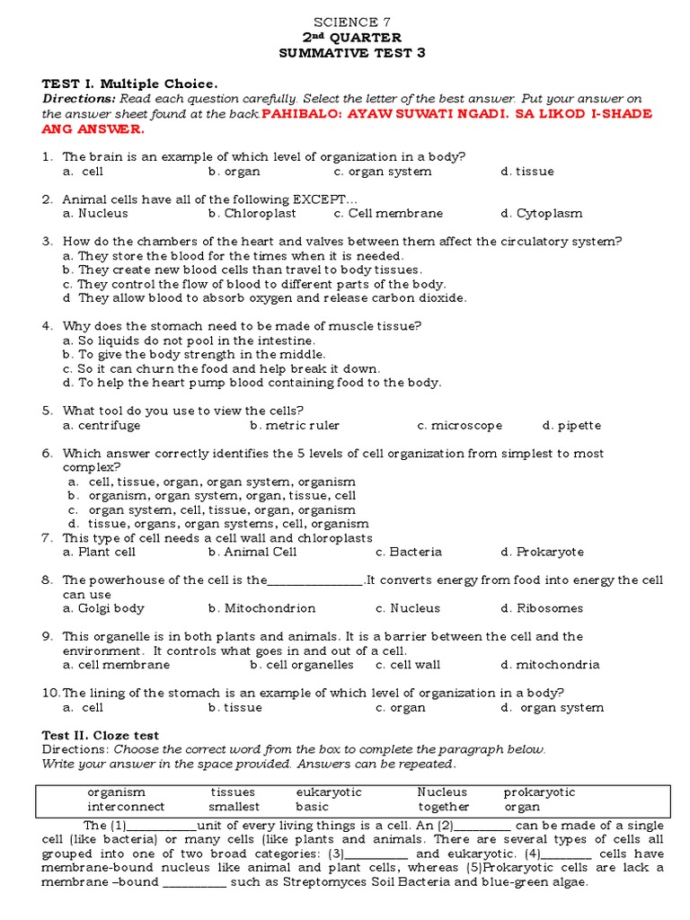 (PRINTING) Science 7 Summative Test 3 | PDF | Prokaryote | Organelle