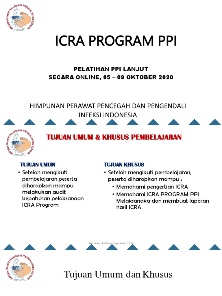 Icra Program Ppi Di FKTP | PDF