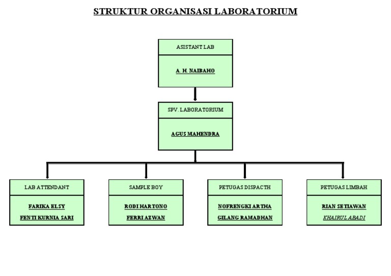 Struktur Organisasi Lab | PDF
