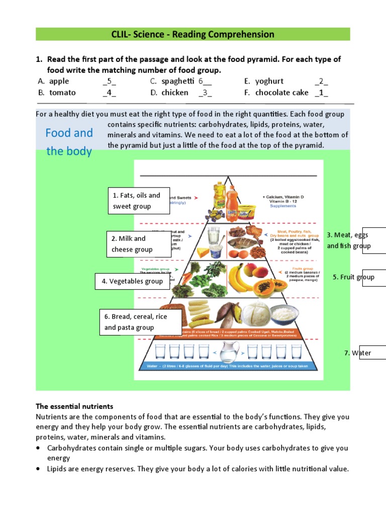 Food Pyramid Word Worksheet | Download Free PDF | Foods | Nutrients