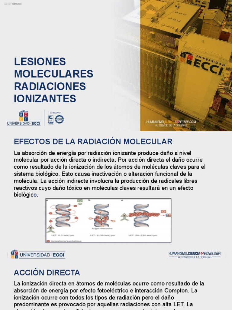 Radiolisis Del Agua | PDF | Radiación ionizante | Radical (Química)