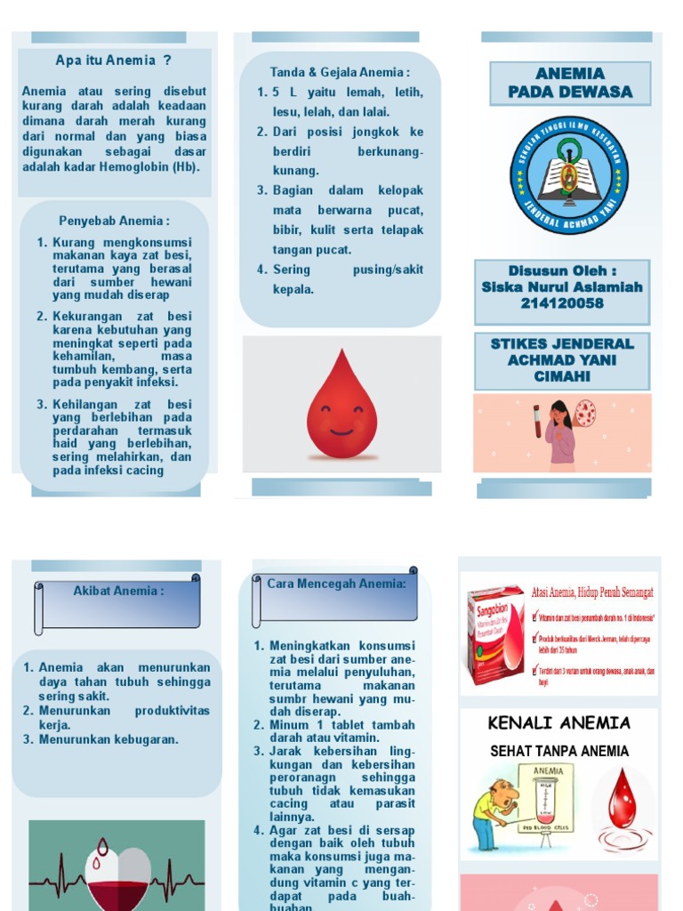 Leaflet Anemia | PDF