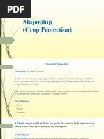 Tagmosis | PDF | Insects | Arthropodology