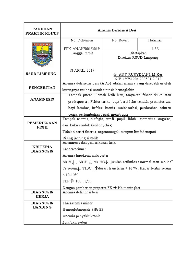 PPK Anemia Defisiensi Besi | PDF