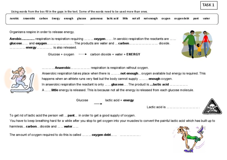 Task 1 Answers | PDF