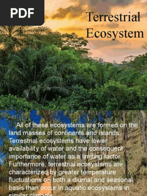 Terrestrial Ecosystems