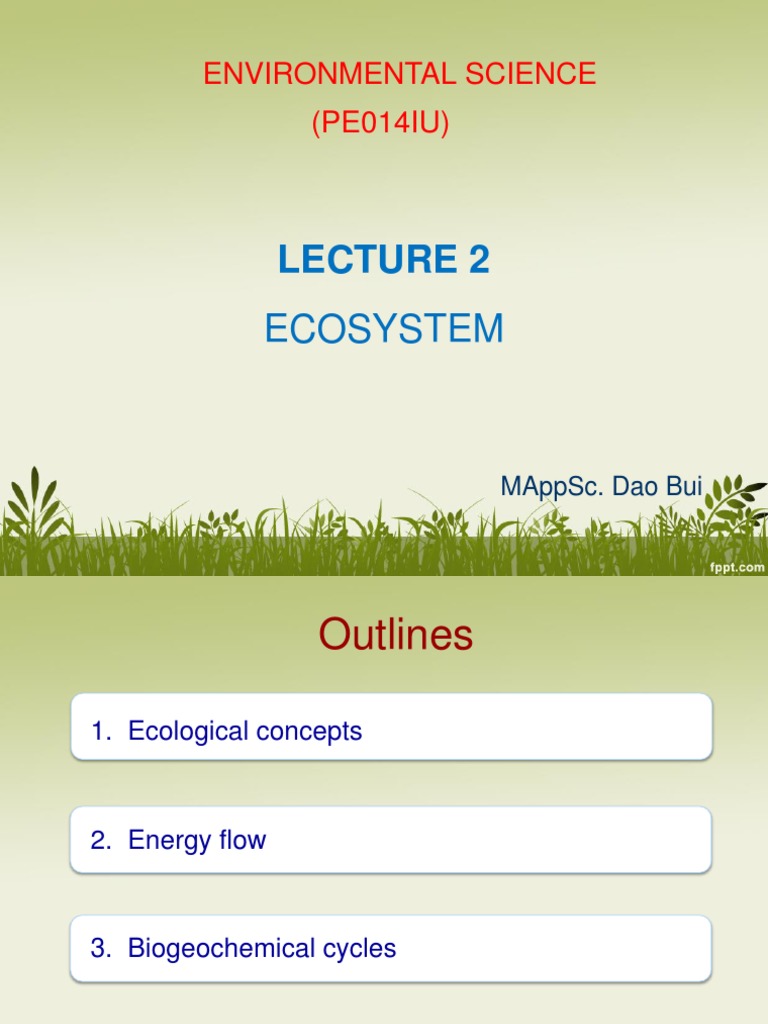 Understanding Ecosystems and Ecology | PDF
