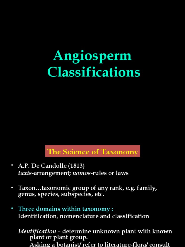 Angiosperm Classifications | PDF | Taxonomy (Biology) | Botany