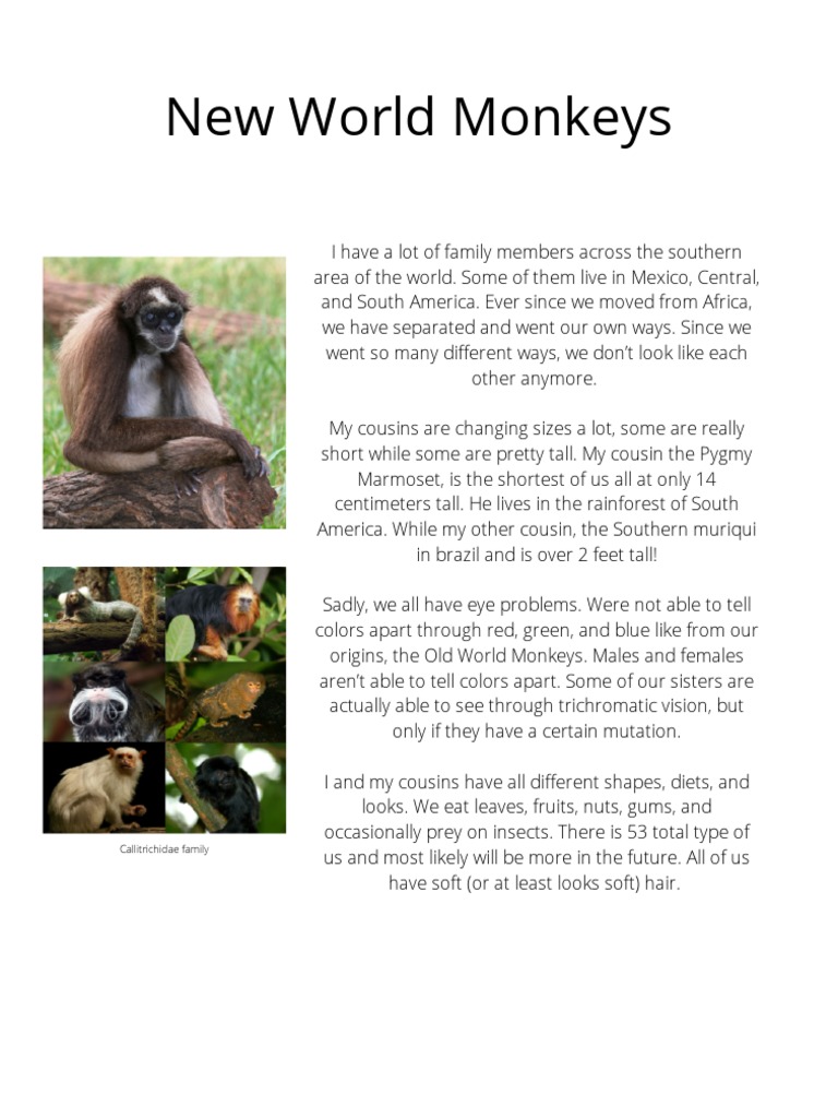 New World Monkeys | PDF | Nature