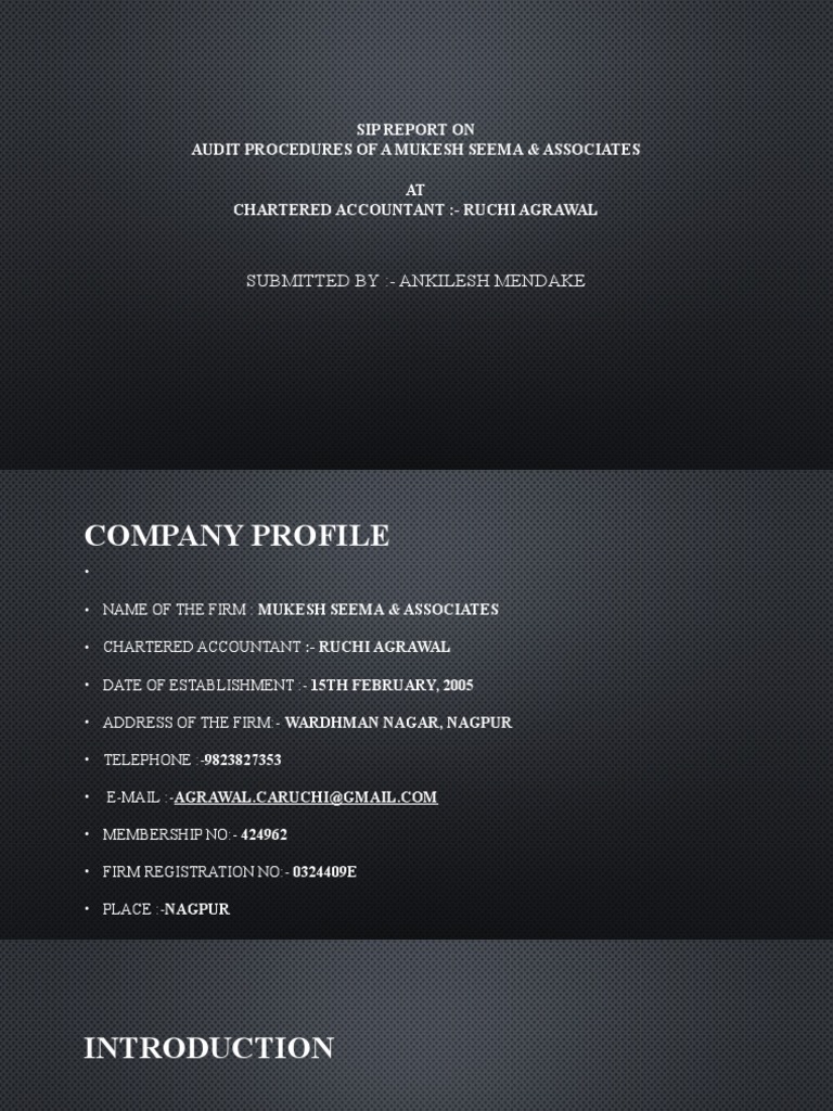 SIP Report On Ank | PDF | Audit | Accounting And Audit