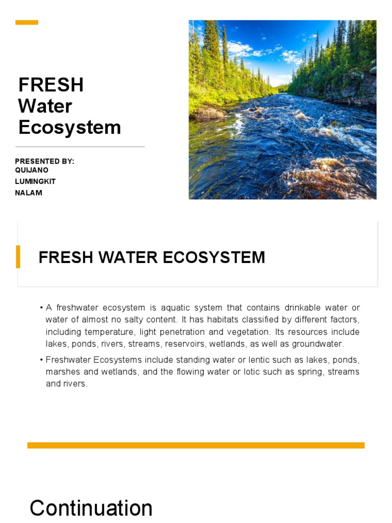 Understanding Freshwater Ecosystems: Classification of Organisms ...