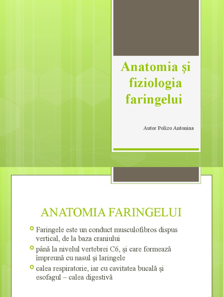 Anatomia Şi Fiziologia Faringelui | PDF