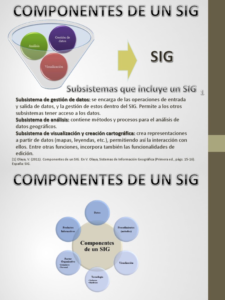 Sem - 5 - Componentes de Un Sig | PDF | Sistema de información ...