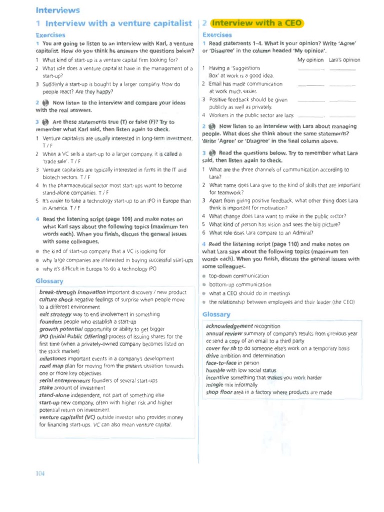 INTERVIEW WITH A CEO Worksheet and Script | PDF