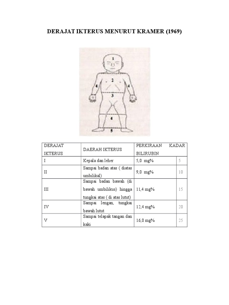 Derajat Ikterus Menurut Kramer | PDF