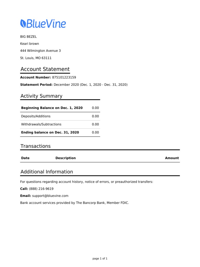 Account Statement: Activity Summary | PDF