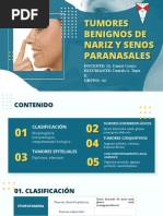 Nomenclatura IFCPC 2011 | PDF | Vagina | Ciencias de la Salud