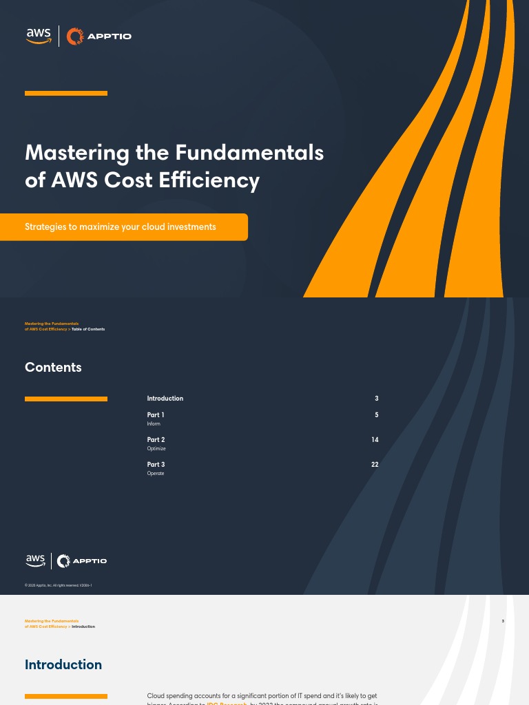 Mastering Fundamentals of Aws Cost Efficiency | PDF | Cloud Computing ...