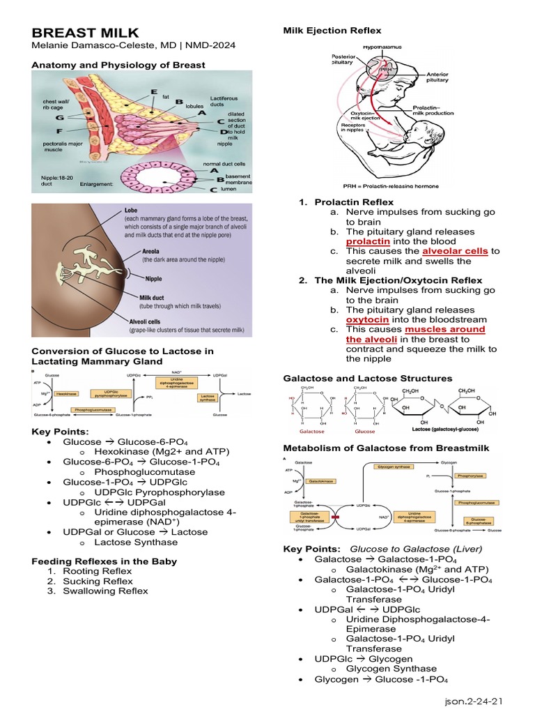 Breast Milk Biochemistry | PDF | Breast Milk | Breastfeeding