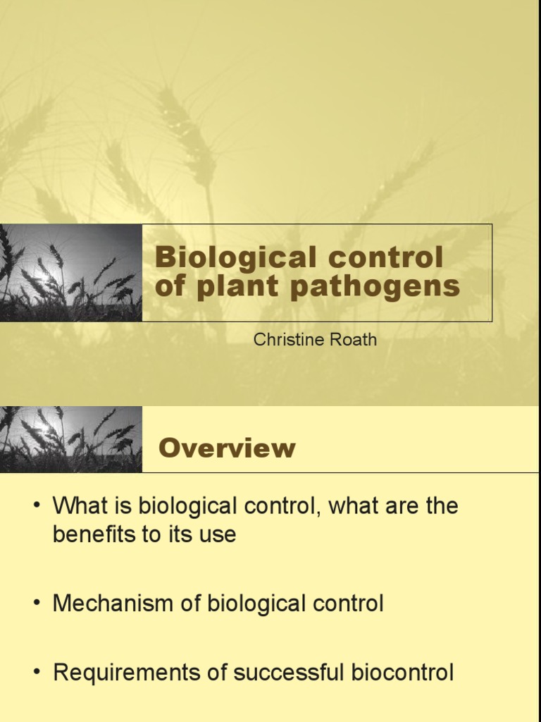 Biological Control of Plant Pathogens: Christine Roath | PDF ...