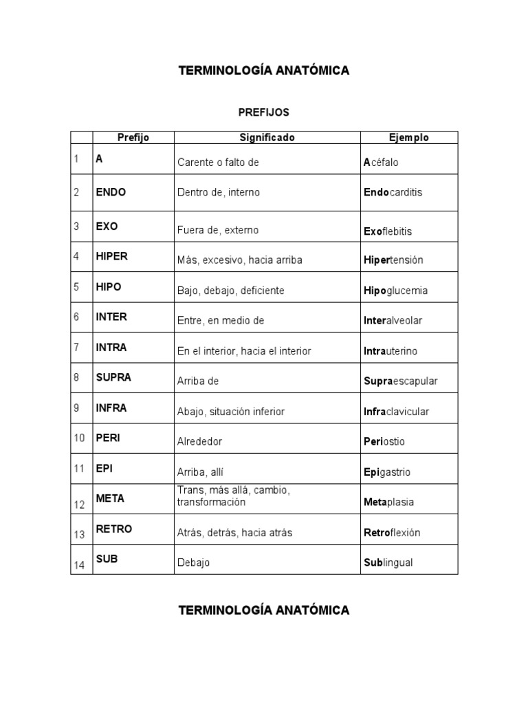 Terminologia Anatomica | PDF