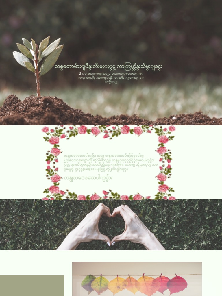 Myanmar Project | PDF