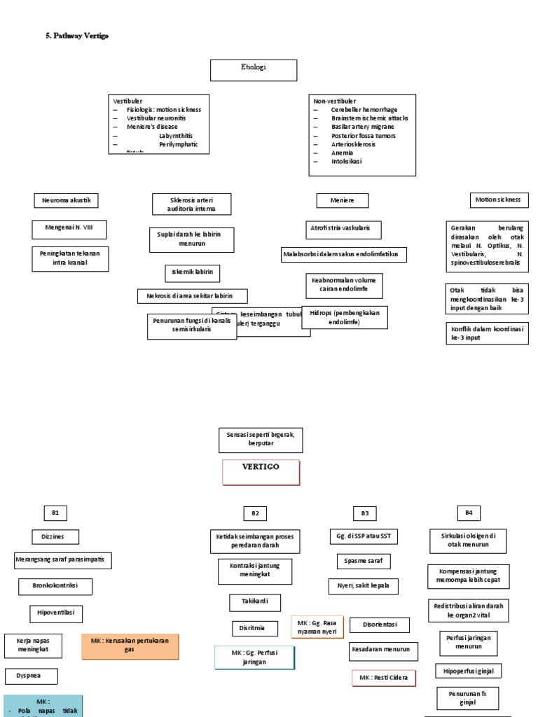 Pathway Vertigo | PDF