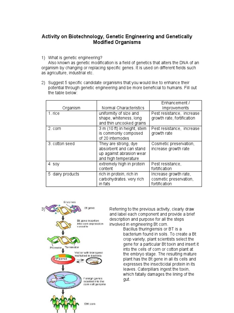 Activity Sheet On Biotech Pdf Genetically Modified Organism