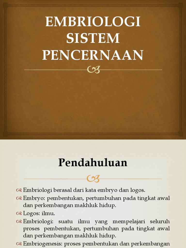 Embriologi Sistem Pencernaan | PDF