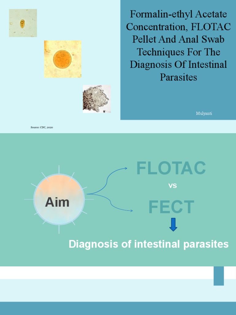 Flotac Vs Fect | PDF | Human Feces | Clinical Medicine