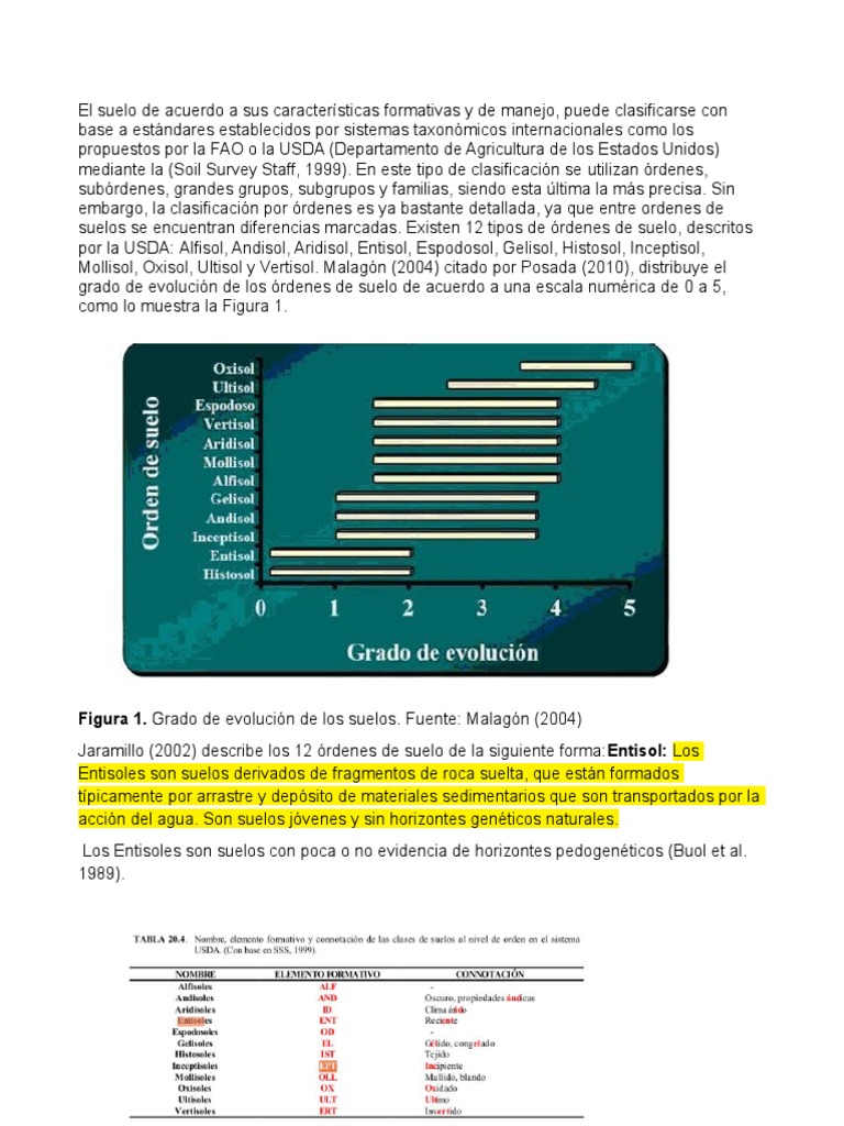 Entisoles | PDF | Suelo | Geografía Física