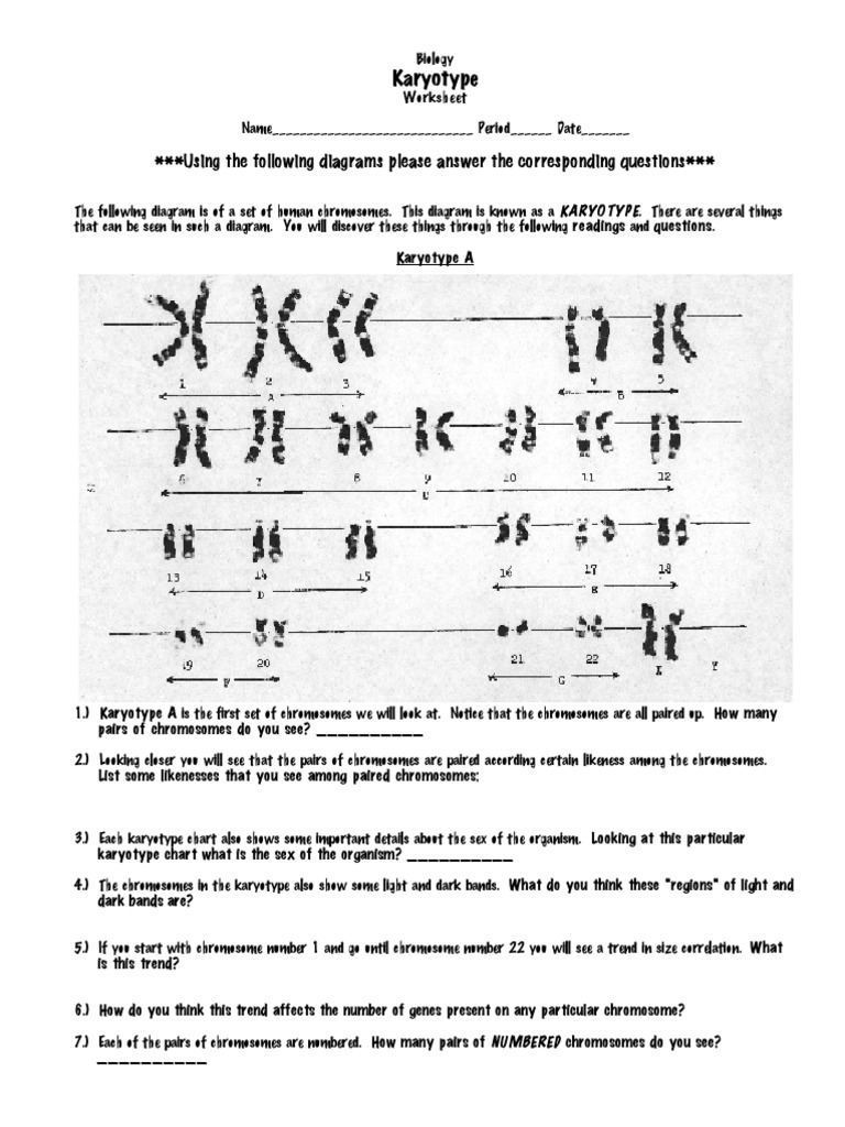 Biology Advanced Karyotype Homework | PDF | Karyotype | Chromosome