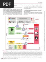 EAU Guidelines for Urological Infections | PDF | Urinary Tract ...